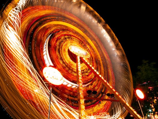 Life In A Squirrel Cage - Foundation of Human Understanding